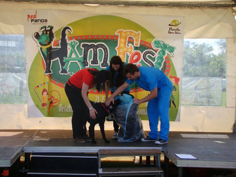 Hamfest - Planeta Ham Ham